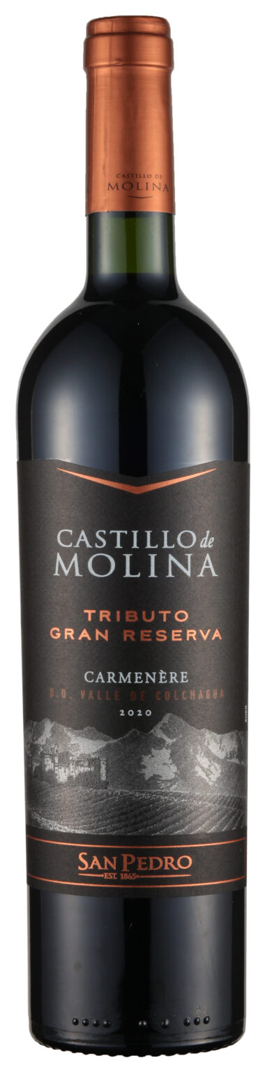 Gran Reserva Castillo De Molina Tributo Carmenere – Korea Wine Challenge
