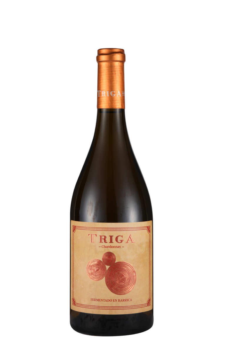 Triga Chardonnay – Korea Wine Challenge
